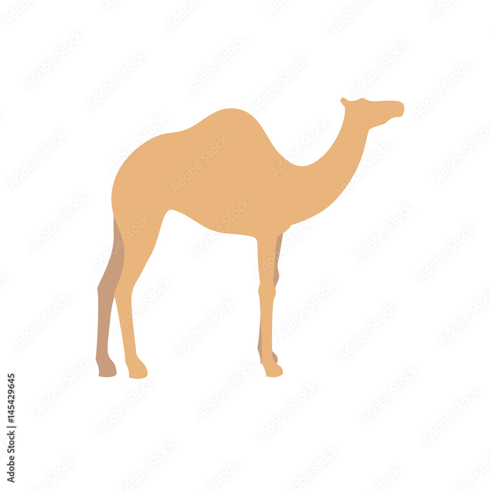 Camel vector sign illustration Stock Vector | Adobe Stock