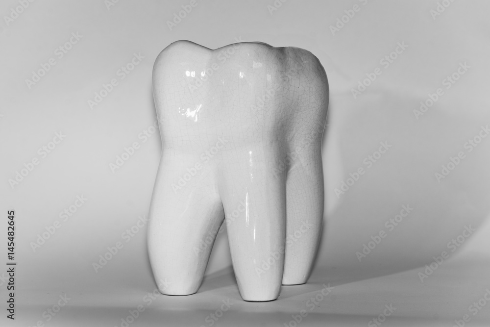 Image of human molar tooth on white background for texture and logo ...