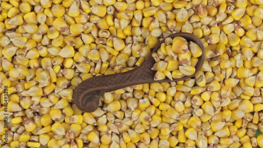 Rotation and zoom of corn in a clay spoon lying on the background of ...