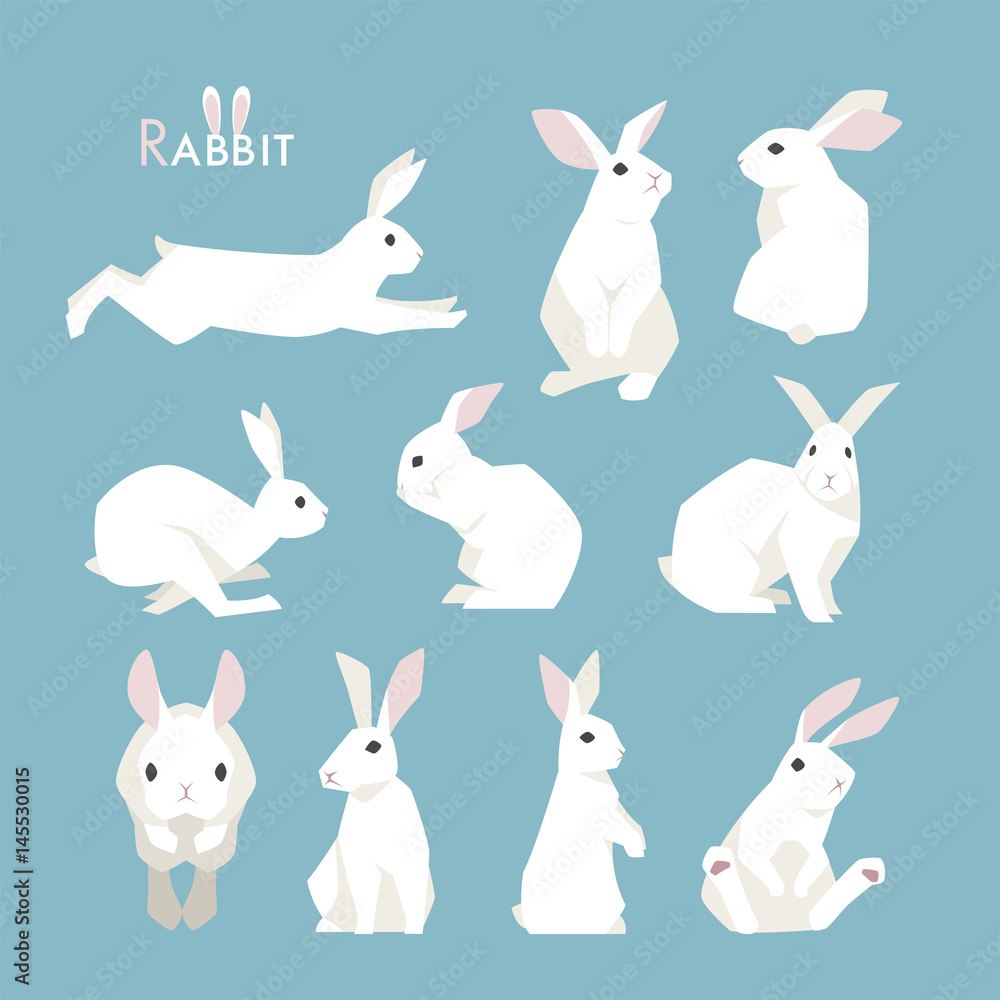 rabbit animal vector illustration flat design Stock Vector | Adobe Stock