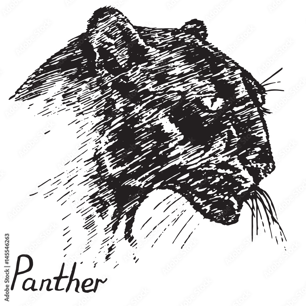Black Panther face profile, hand drawn doodle, sketch in pop art style ...