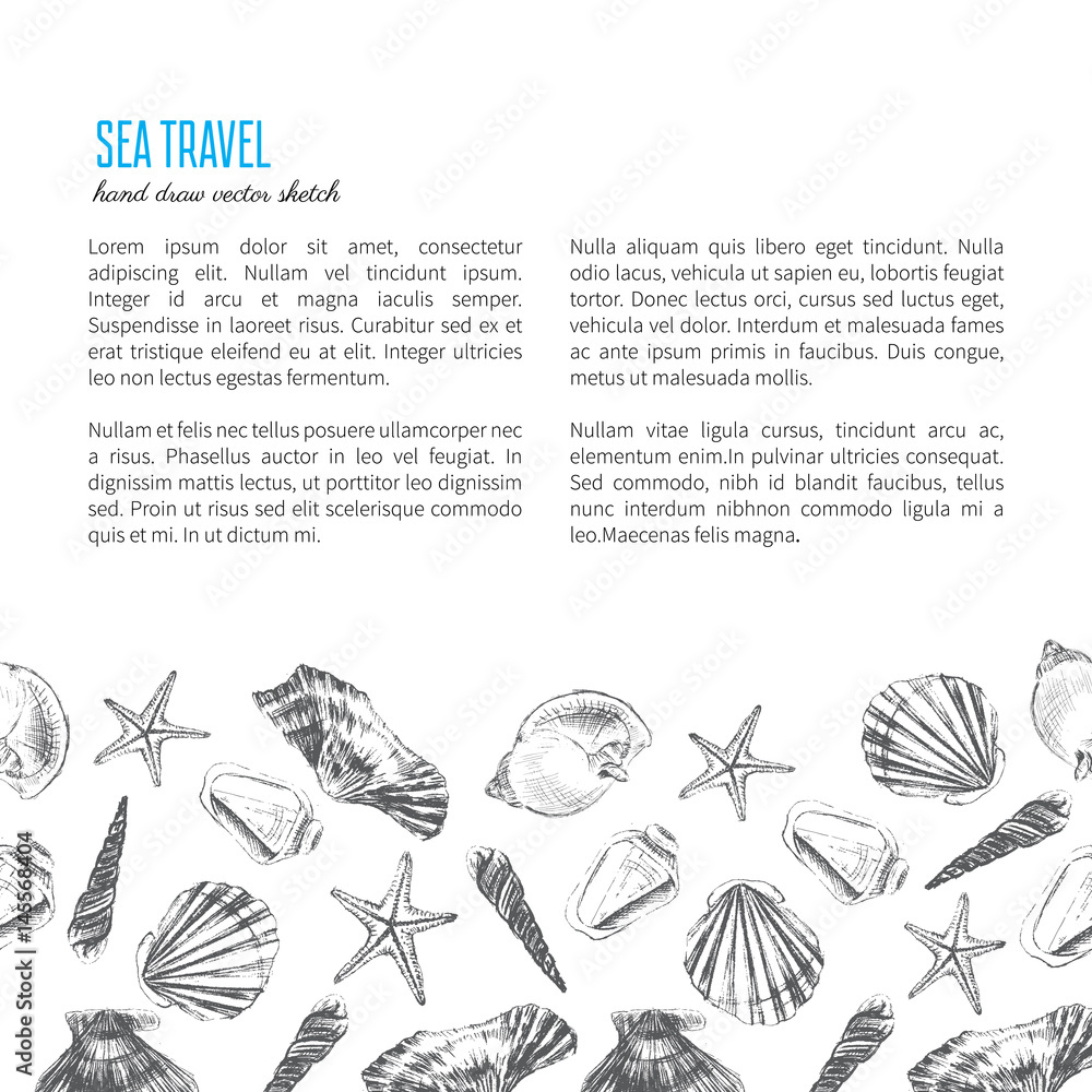 Seashells hand drawn vector etching sketch isolated on white background ...