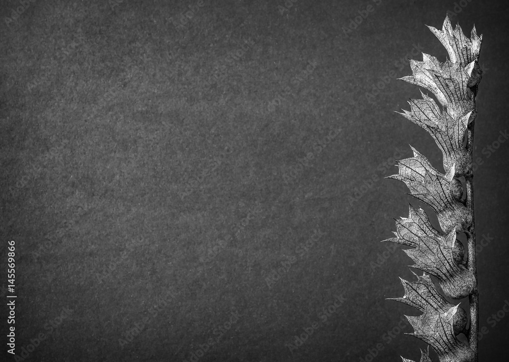 Dark Depressing Backgrounds