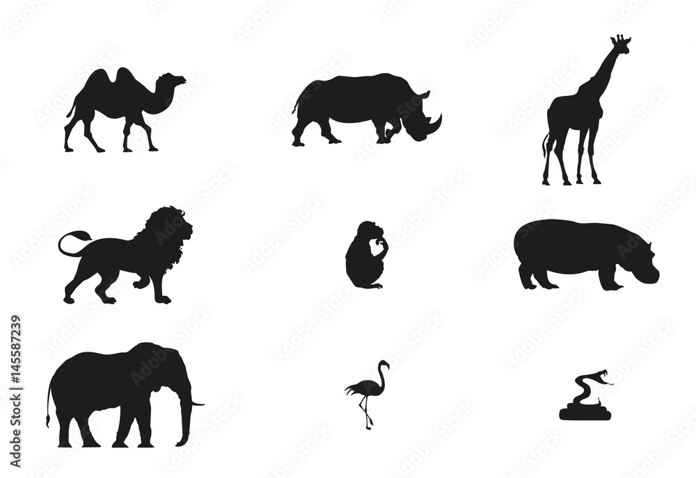 Zoo Animals Silhouette