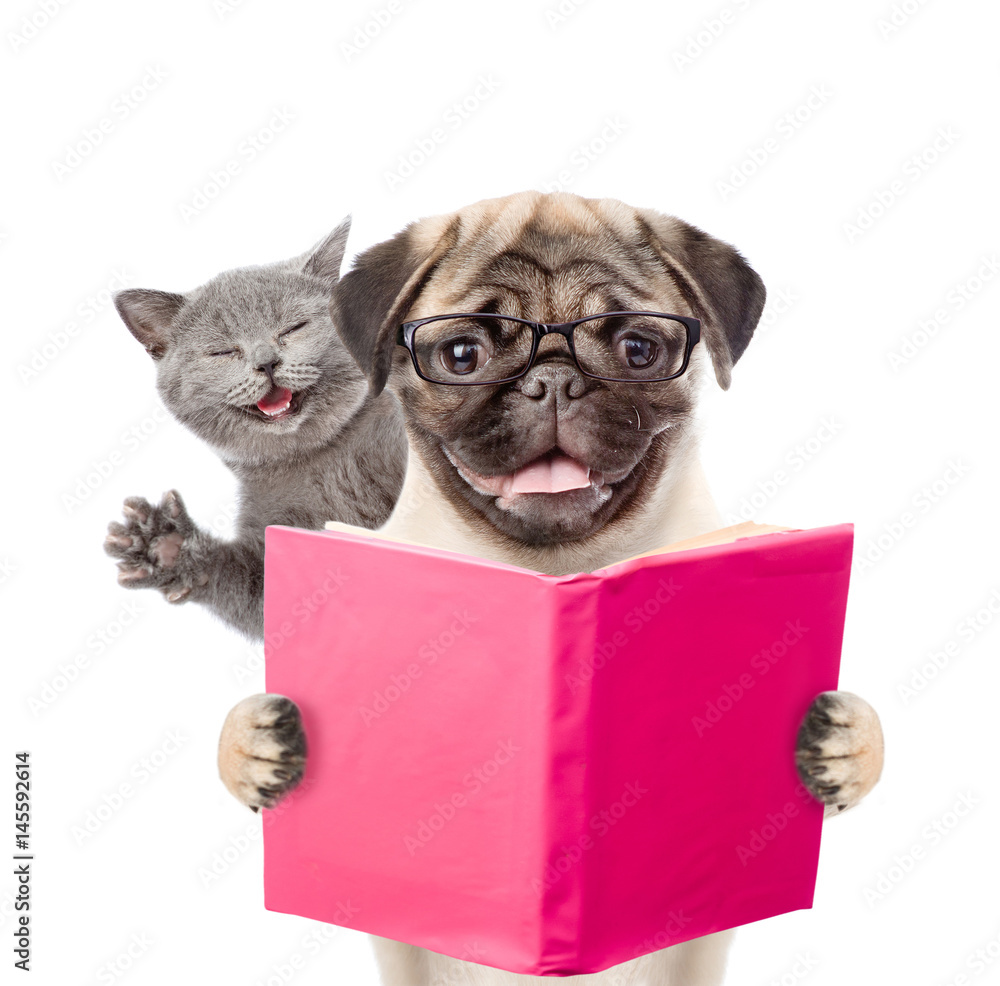 Smart dog and funny cat reading a book. isolated on white background ...