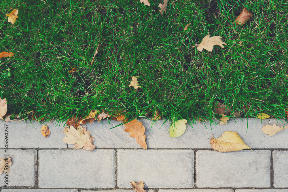 Grass texture with border, walkway outdoors Stock Photo | Adobe Stock