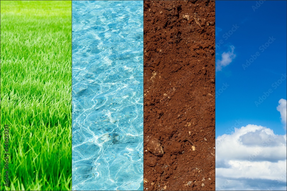ecology of nature banner concept. green plant blue water fertile soil ...