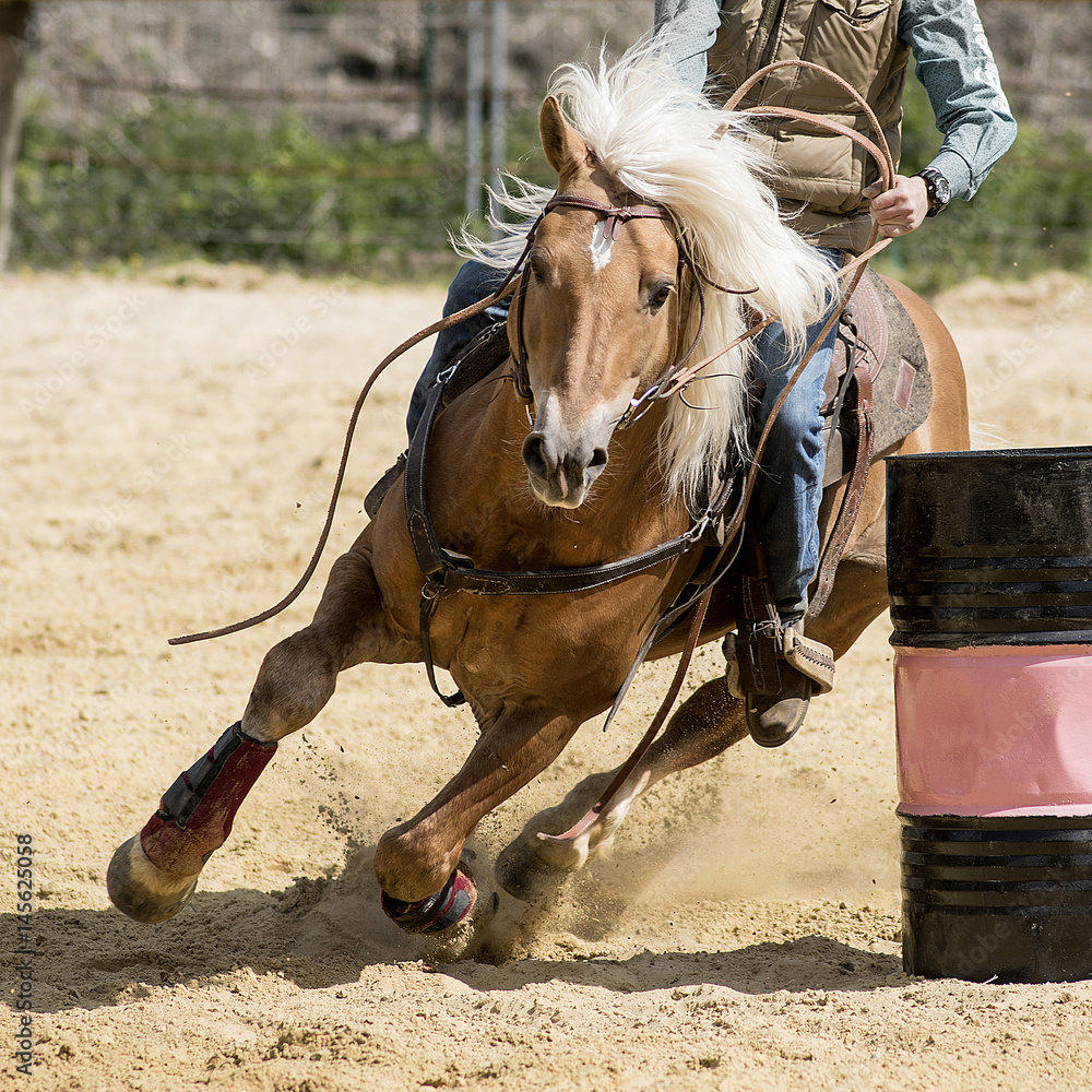 Barrel Racing Art Prints