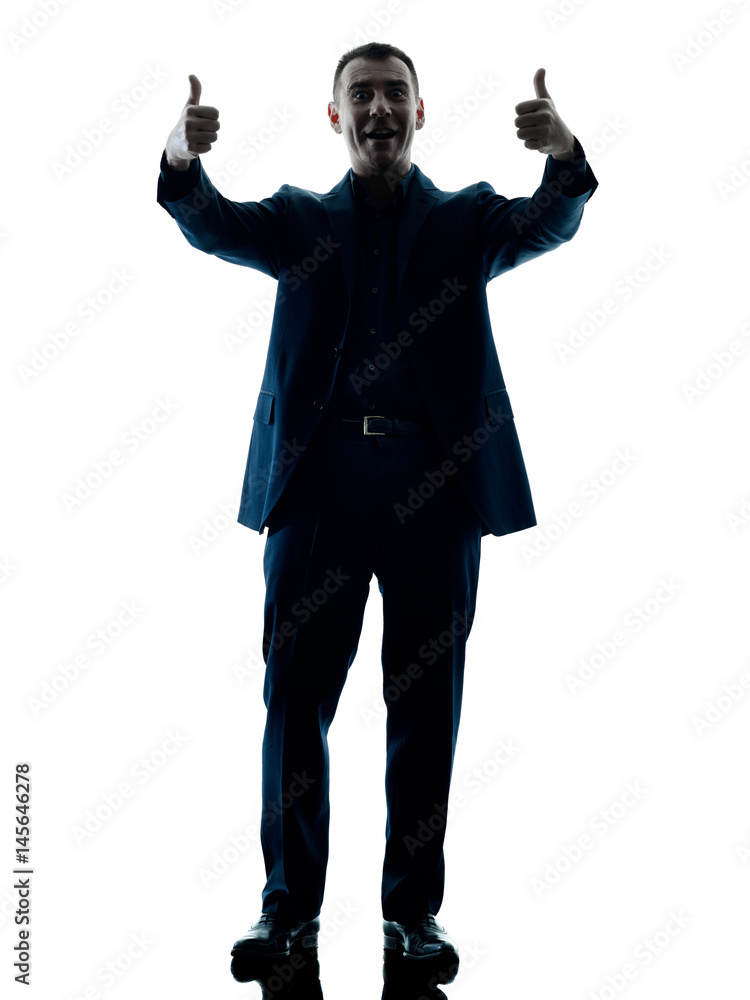 one caucasian business man standing silhouette isolated on white background Stock Photo | Adobe ...