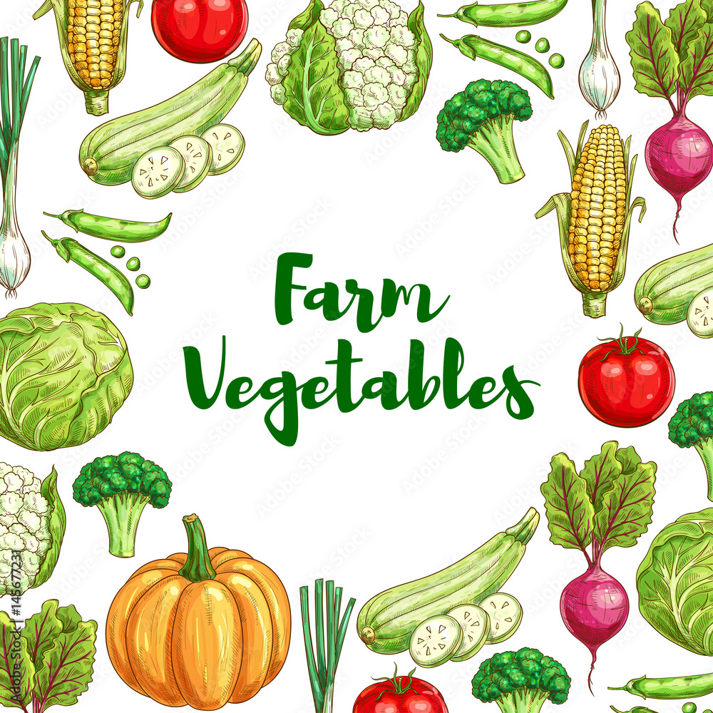 Farm vegetables sketch poster. Fresh tomato, broccoli, green onion ...