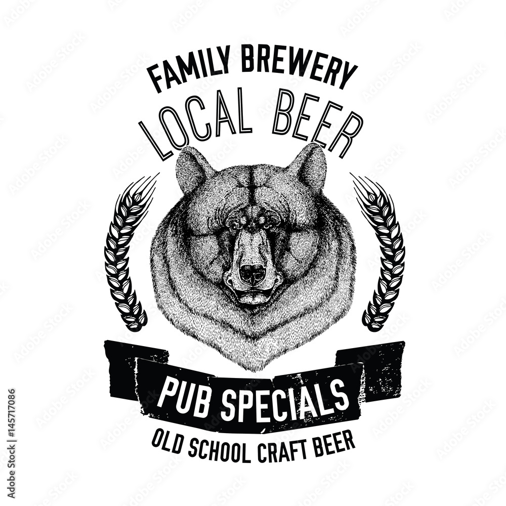 Hand drawn beer emblem with american black bear Template for badge ...