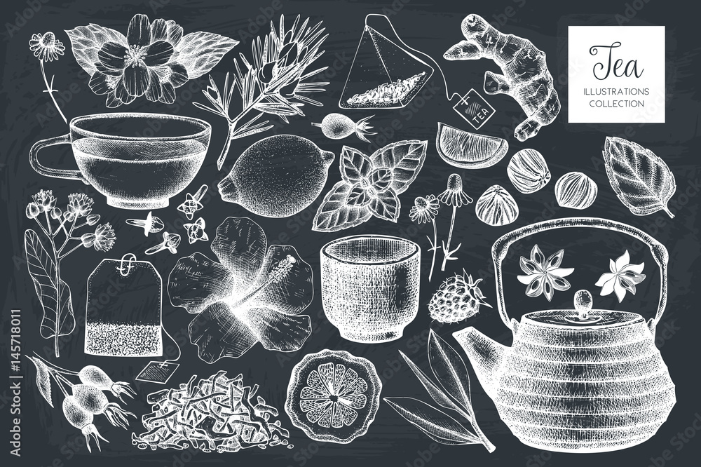 Vector tea sketch collection Stock Vector | Adobe Stock