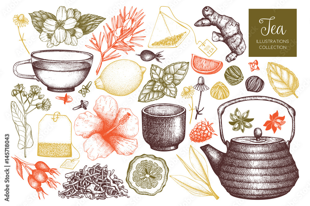 Vector tea sketch collection Stock Vector | Adobe Stock