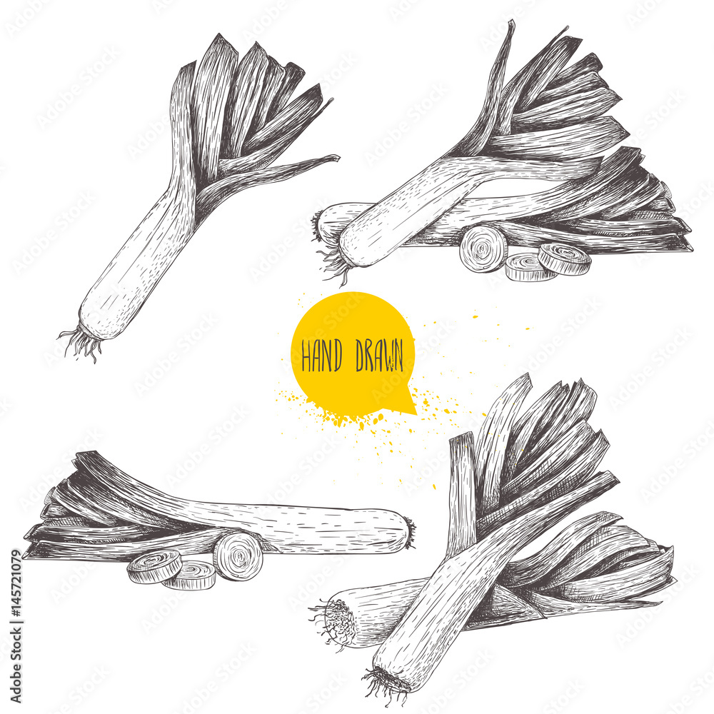 Hand drawn sketch style fresh leeks setisolated on white background ...