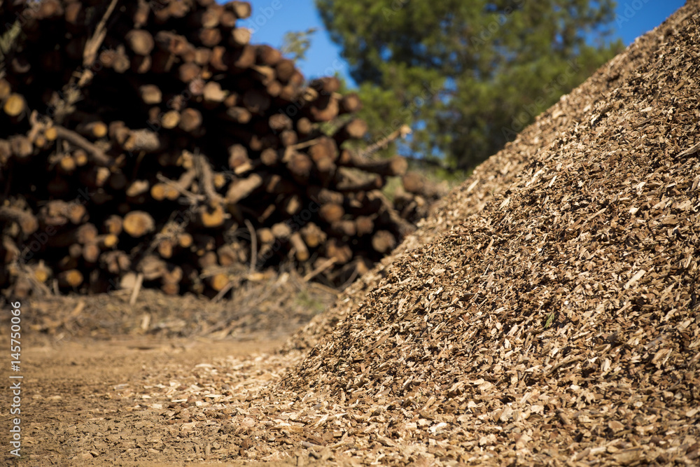 Biomass background Stock Photo | Adobe Stock