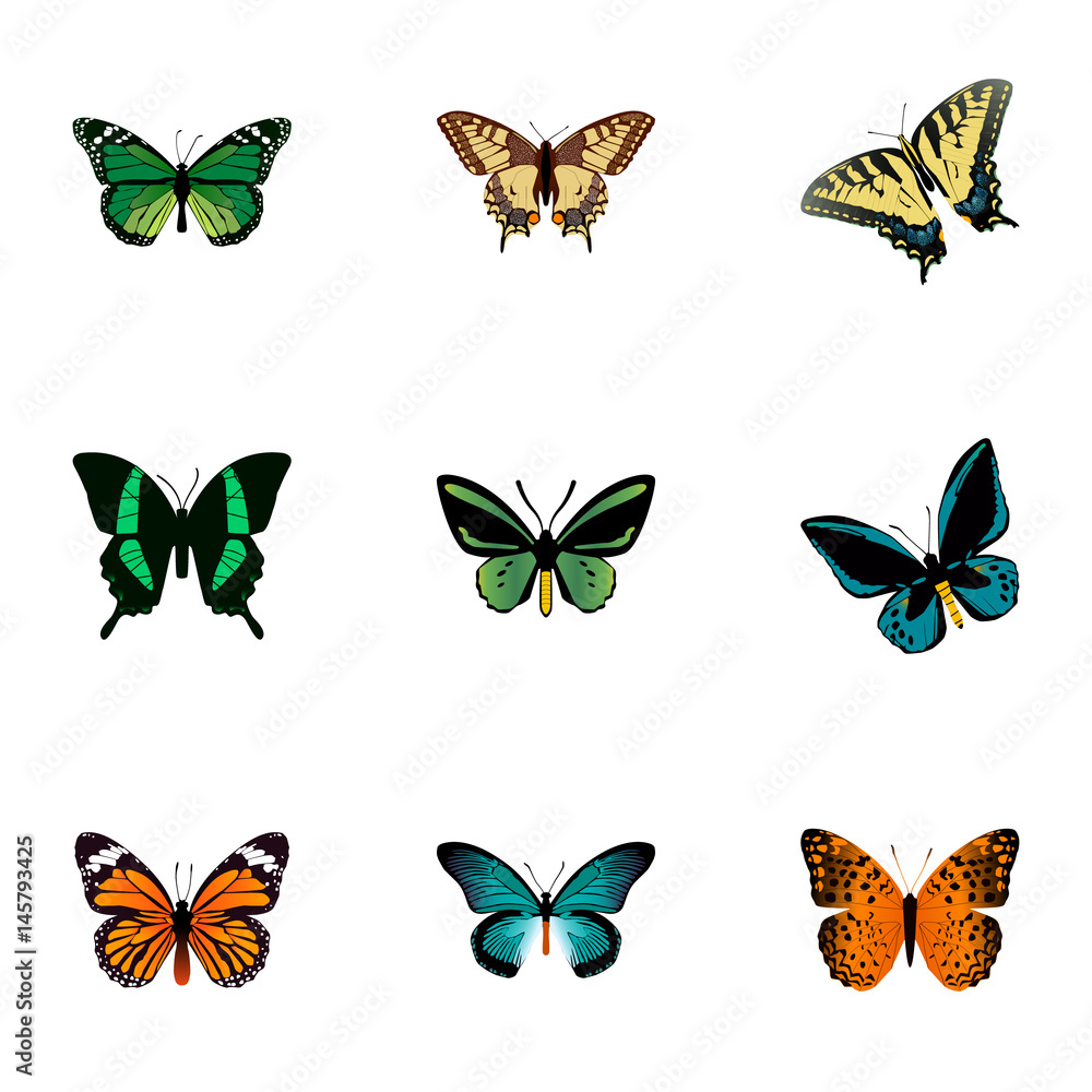 Realistic Tropical Moth, Beauty Fly, Demophoon And Other Vector ...
