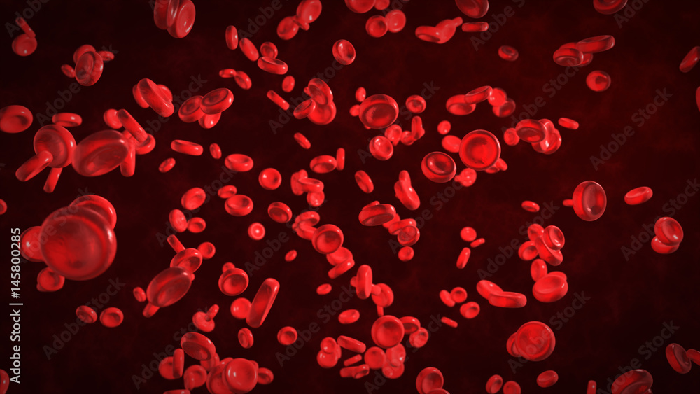 Red blood cells in the living body Stock Photo | Adobe Stock