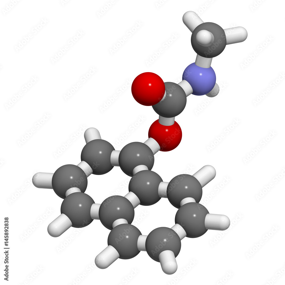 Carbaryl (carbaril) insecticide molecule (carbamate class). 3D ...