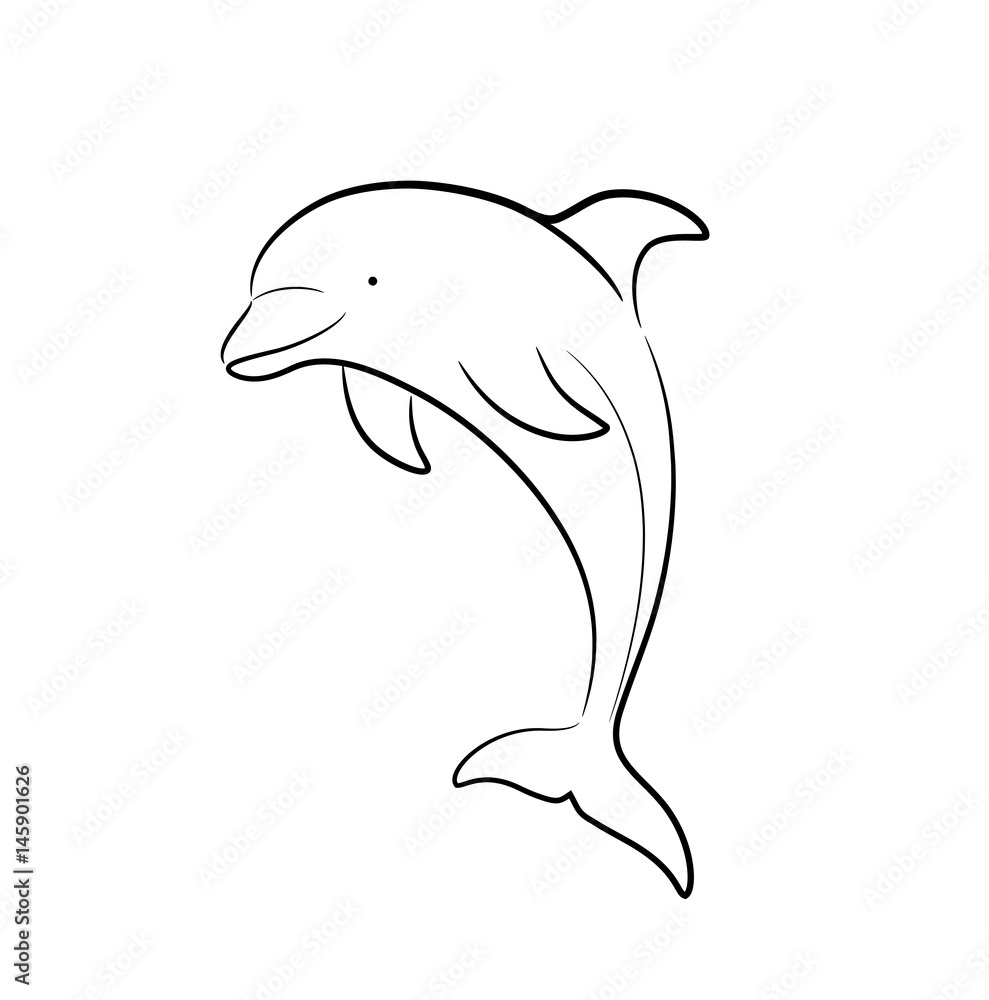 Cute Dolphin Art