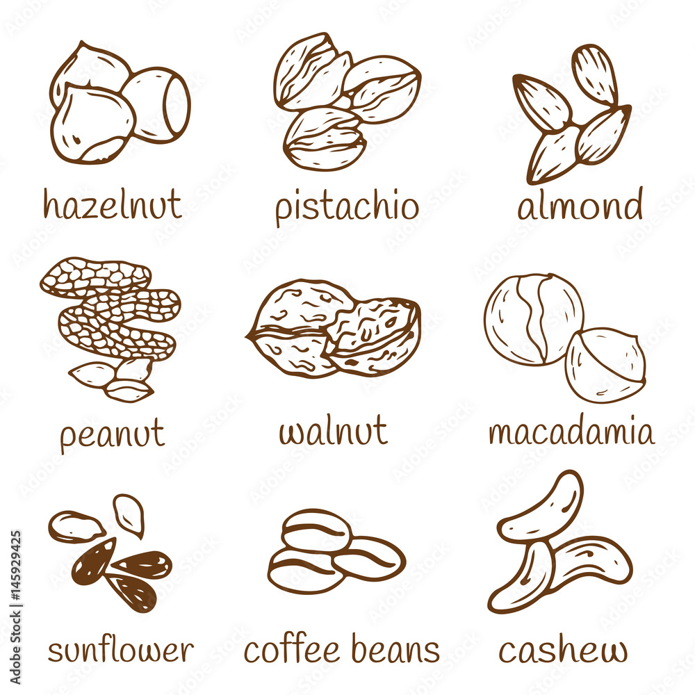 Set of hand-drawn nuts isolated. Organic farm illustration. Healthy ...
