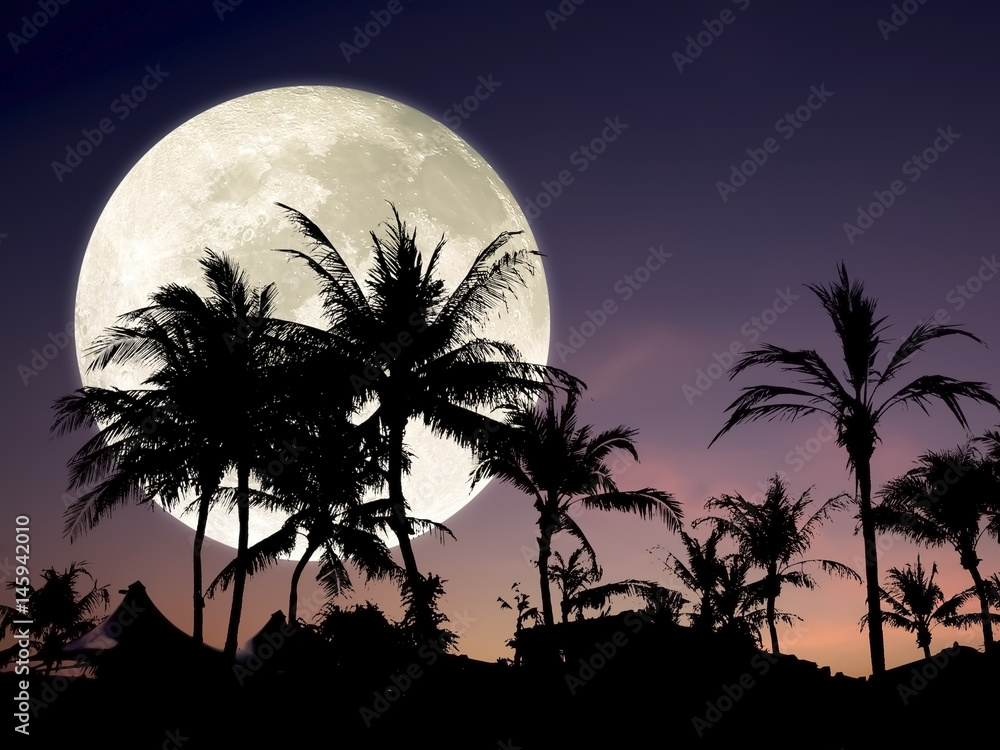 Beautiful Night Sky With Moon