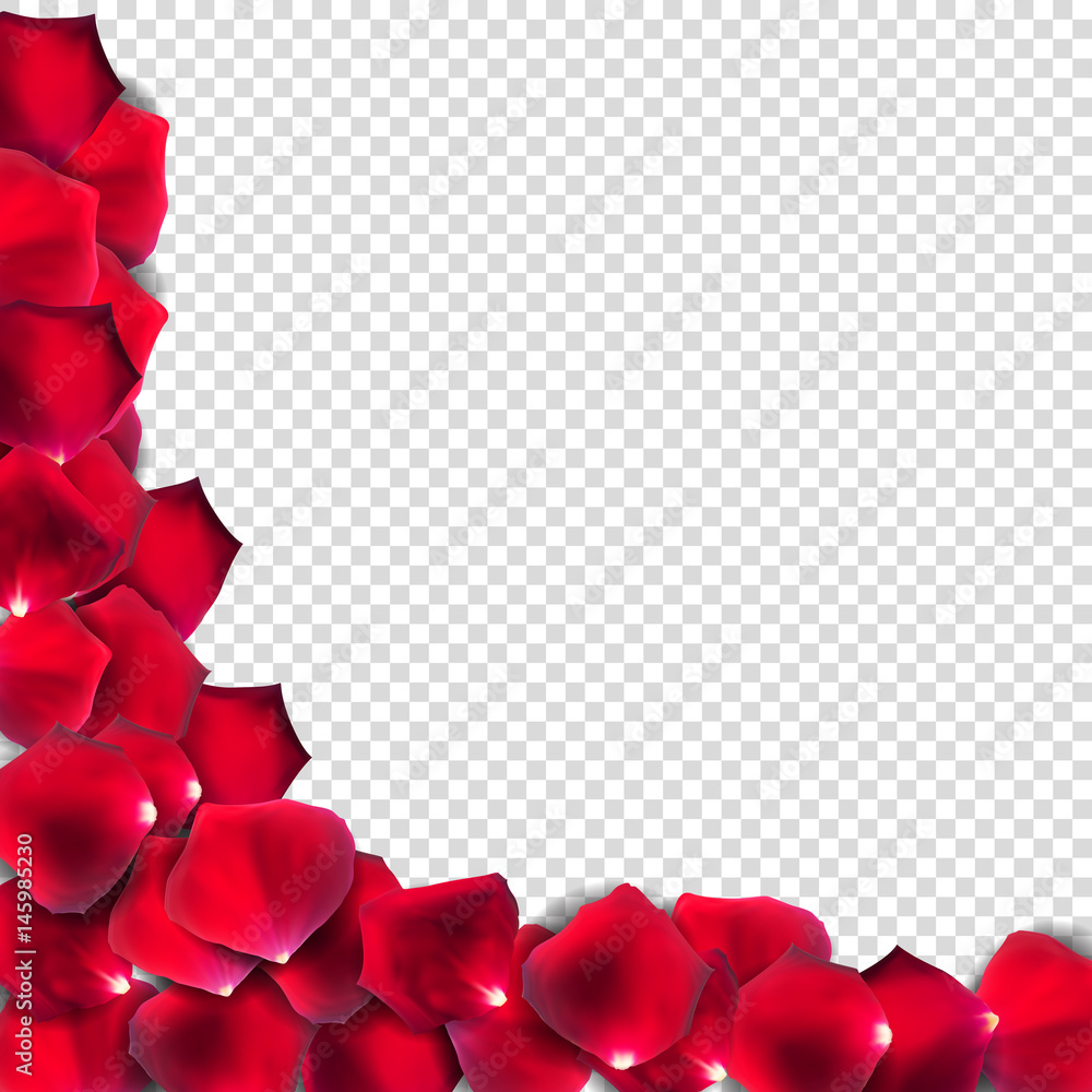 Abstract Natural Rose Petals on Transparent Background Realistic Stock ...