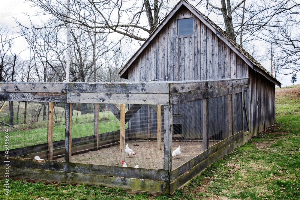 horizontal image of a chicken barn with a screened in part with ...