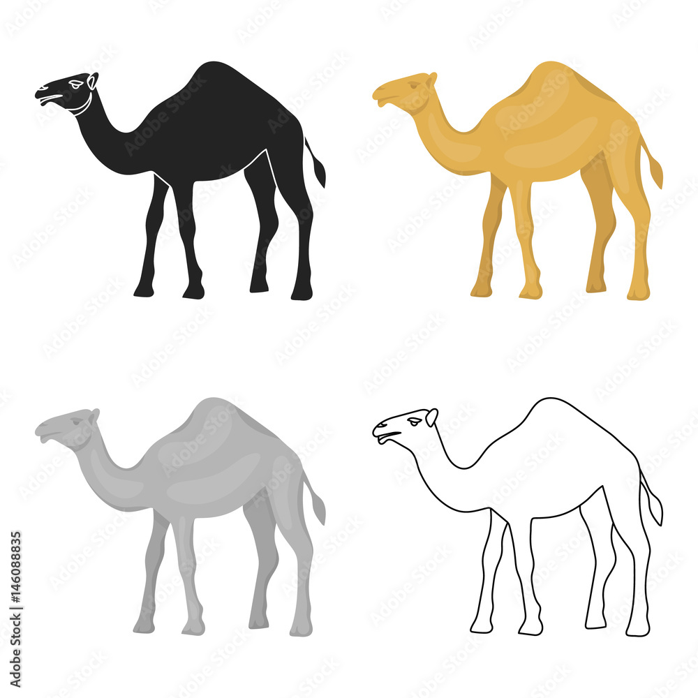 Camel icon in cartoon style isolated on white background. Arab Emirates ...