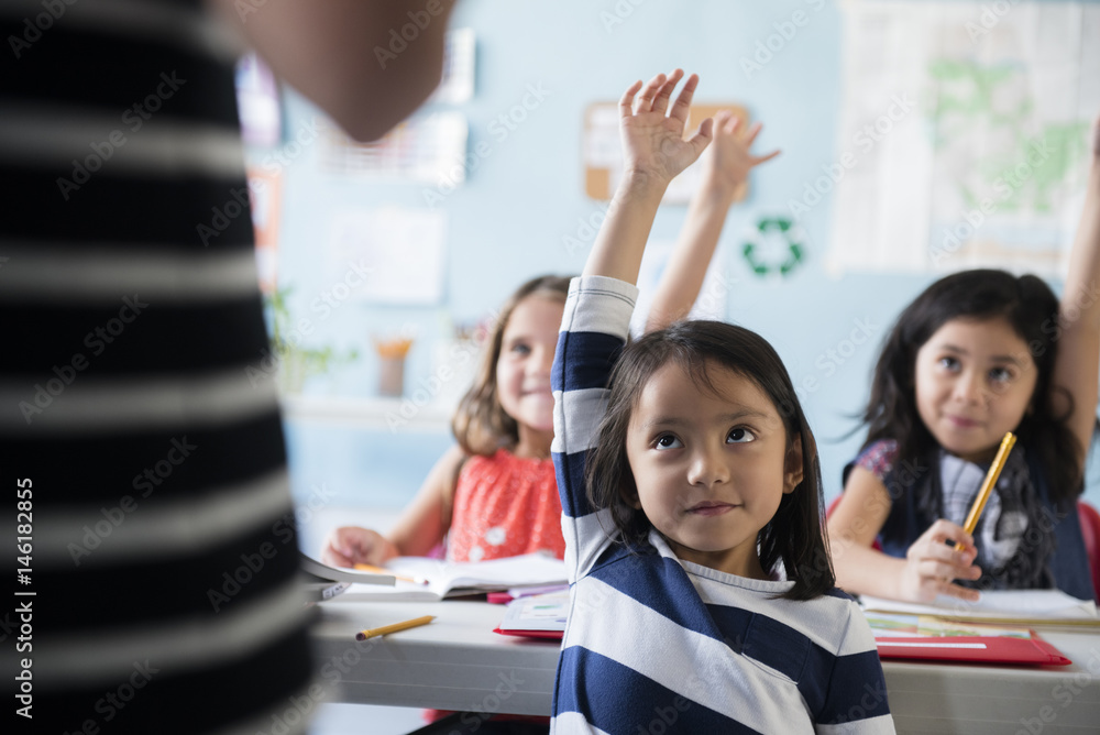 Girls raising hand for teacher in classroom Stock Photo | Adobe Stock