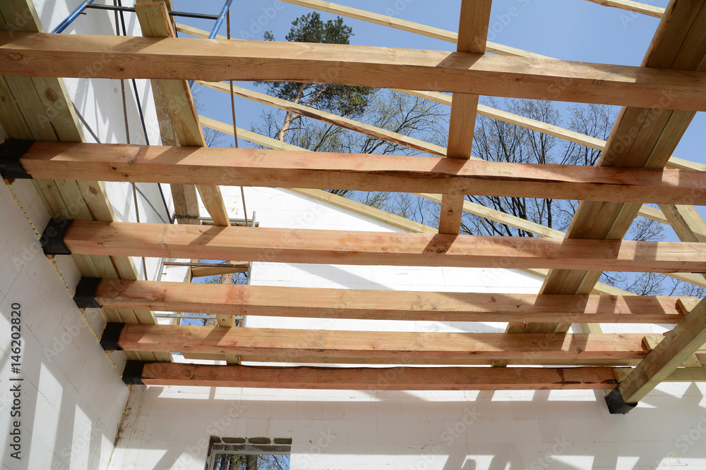 The construction of the thermo house. The construction of the thermo ...