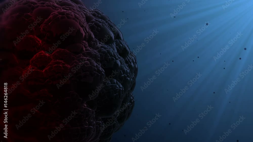 Vidéo Stock Organic cell evolution. virus attack the leukocyte, viruses ...