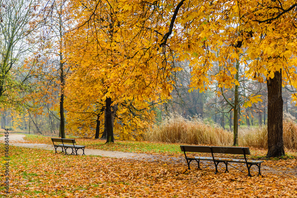 A beautiful autumn landscape. City Park in Warsaw. Lazienki Krolewskie ...