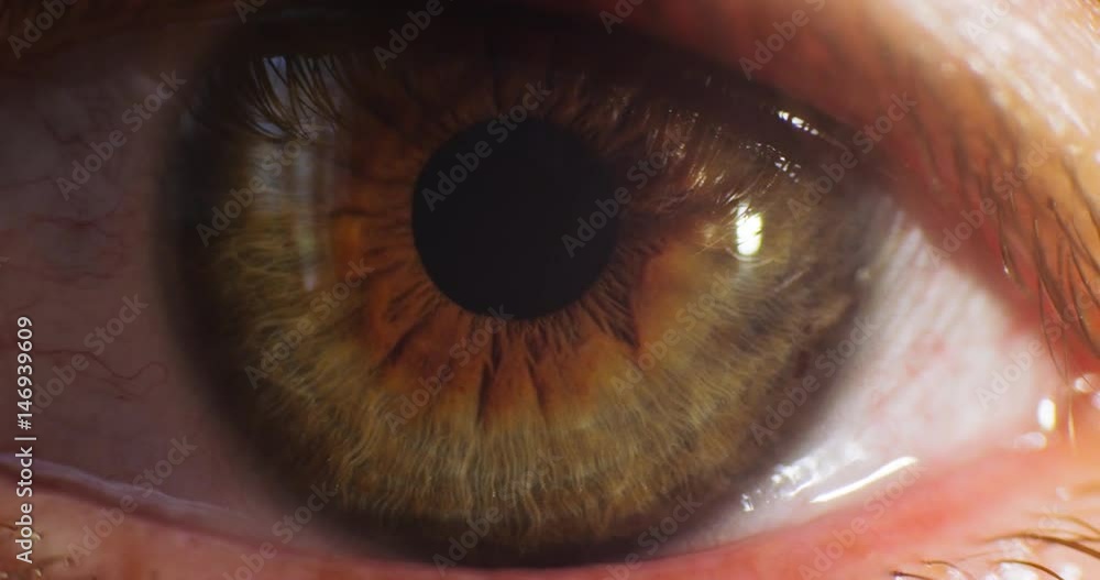 Female green, brown eye close up, macro.4K real time extreme close up ...