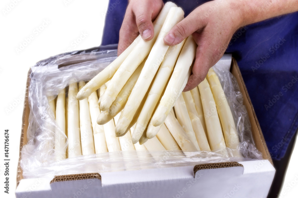 Frischer weißer Spargel als close-up in einer Box und Männerhänden ...