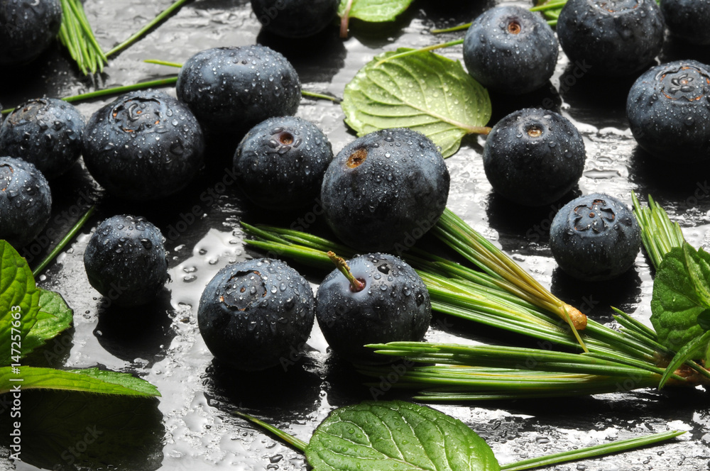 Vaccinium myrtillus Brusnice borůvka Mirtilo Bilberry Heidelbeere ...