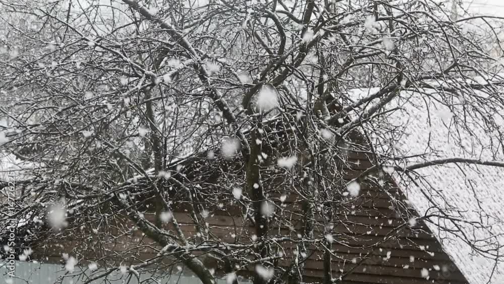 Large snow flakes are falling from the sky against the background of a ...