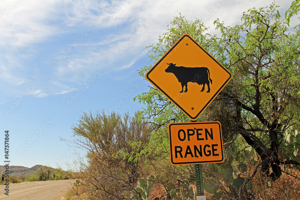 Open range cattle crossing warning sign along a road in Arizona. Stock ...