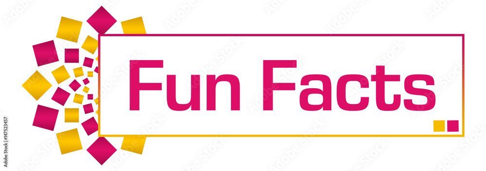 Fun Facts Pink Gold Circular Bar Stock Illustration | Adobe Stock