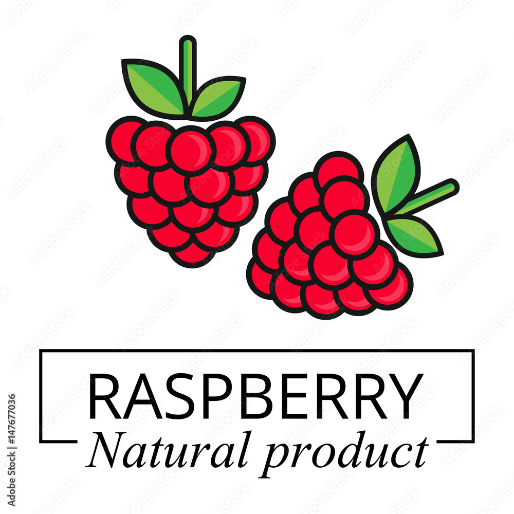 cartoon raspberry label Stock Vector | Adobe Stock