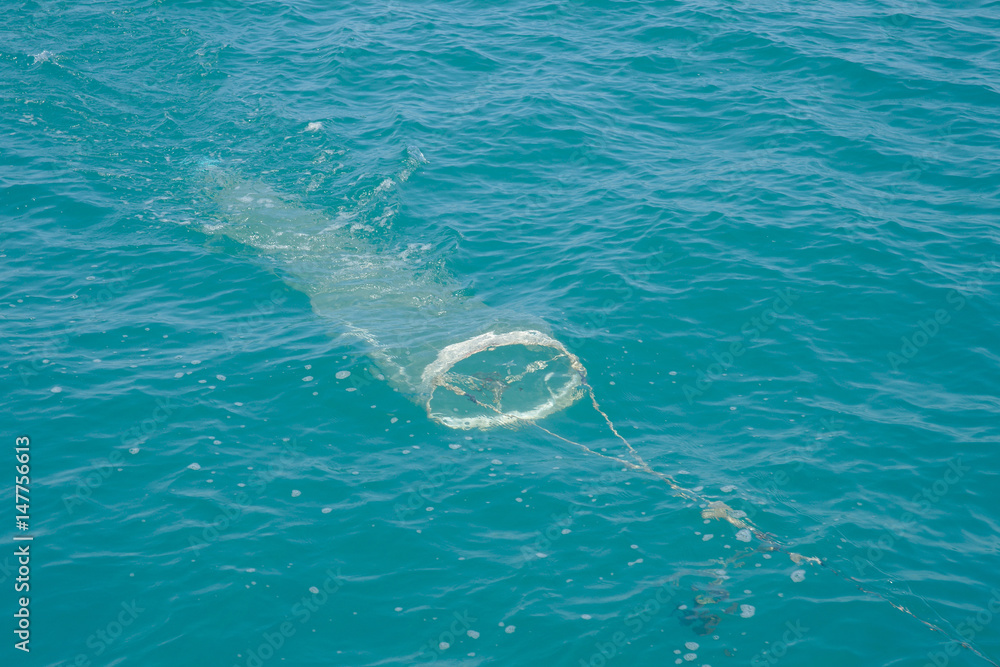 Plankton sampling collect for plankton in water Stock-Foto | Adobe Stock