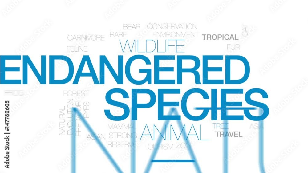 Endangered species animated word cloud, text design animation. Kinetic ...