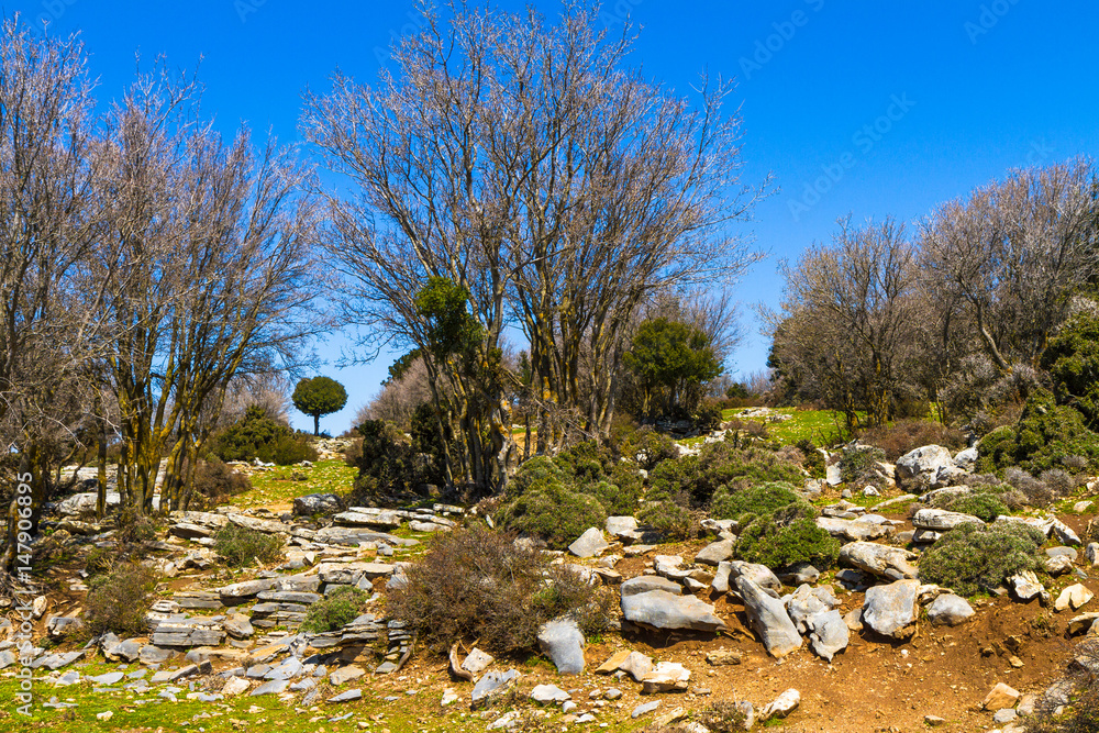 Hiking and trekking adventure landscape Psiloritis Ida mountains range ...