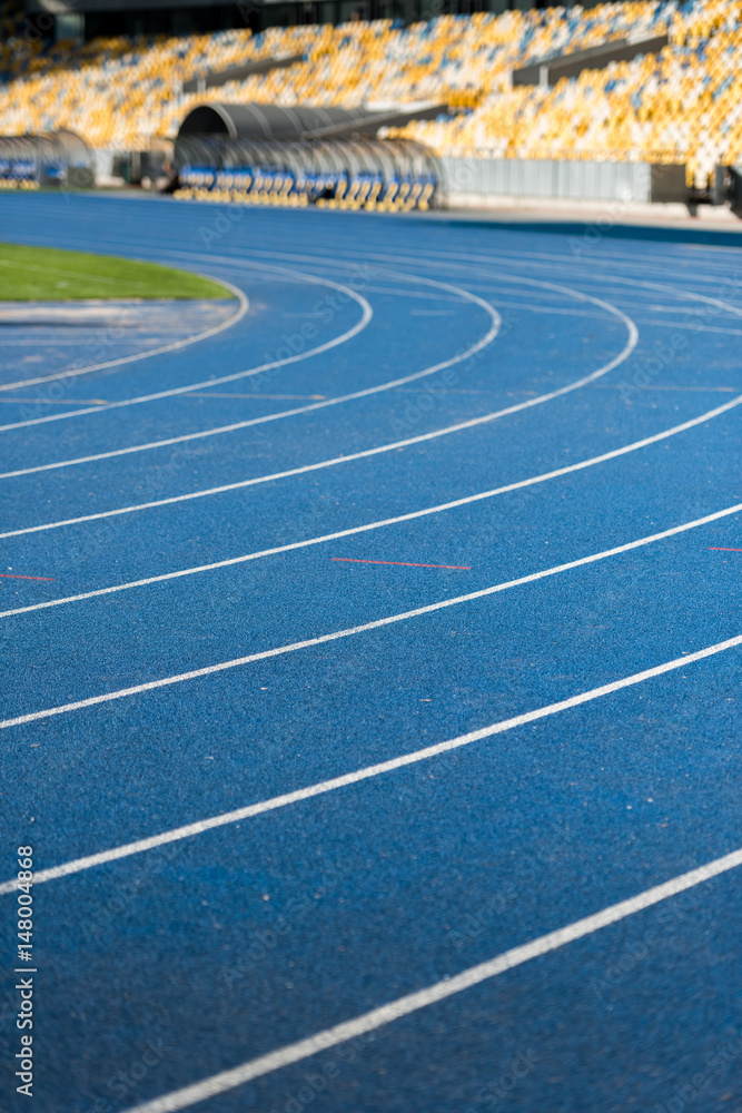 Olympic Field View
