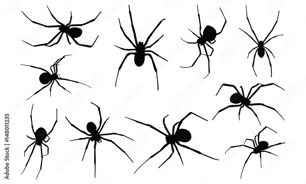 Black widow spider Silhouette vector illustration Stock Vector | Adobe ... Black widow spider Silhouette vector illustration Stock Vector | Adobe ...