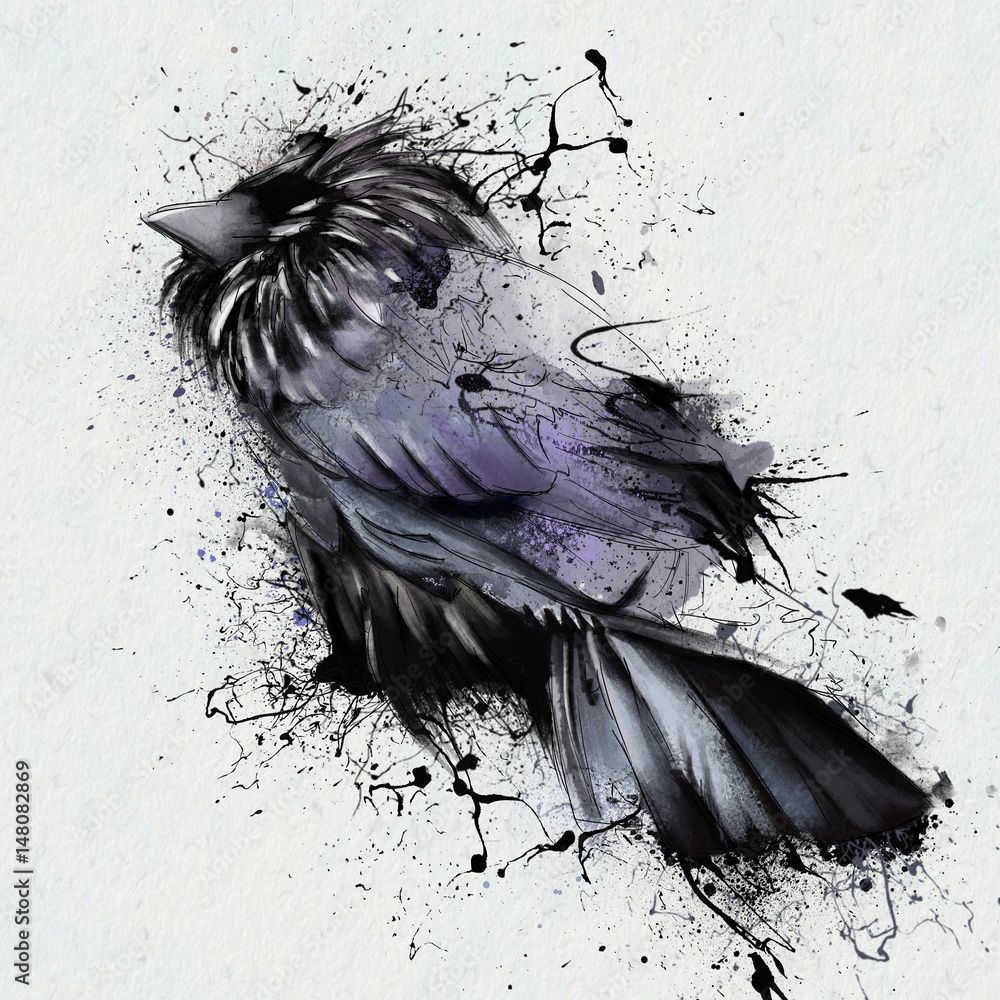 Drawing black Raven, close-up, isolated on white background, with ...
