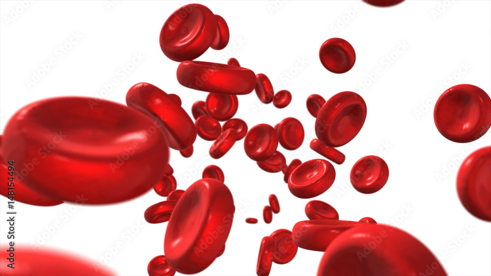 Red blood cells isolated on white background Stock Photo | Adobe Stock