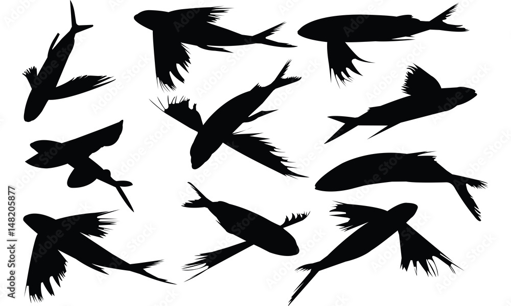 Flying fish Silhouette vector illustration Stock Vector | Adobe Stock