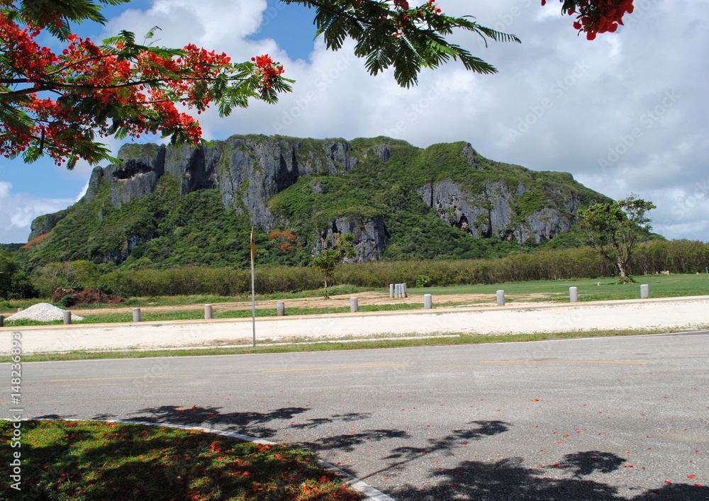 Suicide Cliff, Saipan The Suicide Cliff in Marpi seen from the CNMI ...