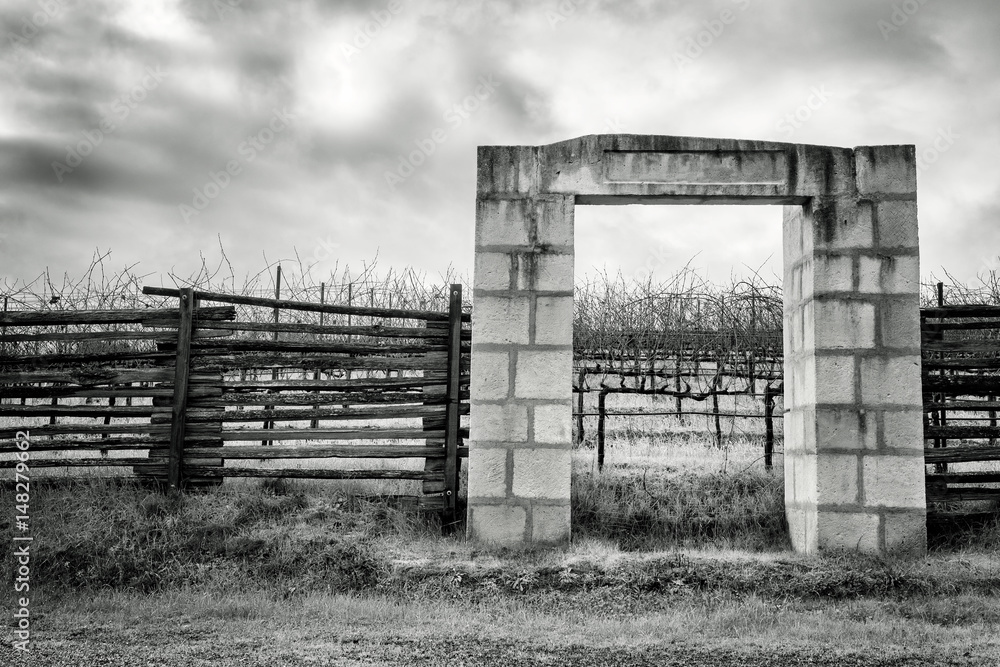 California vineyard and gate made of stone blocks. Foggy day. Stone ...