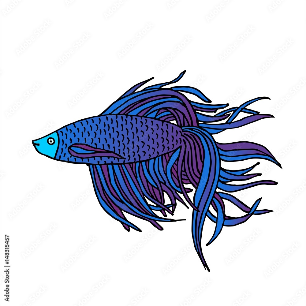 Beautiful Betta Fish Drawing